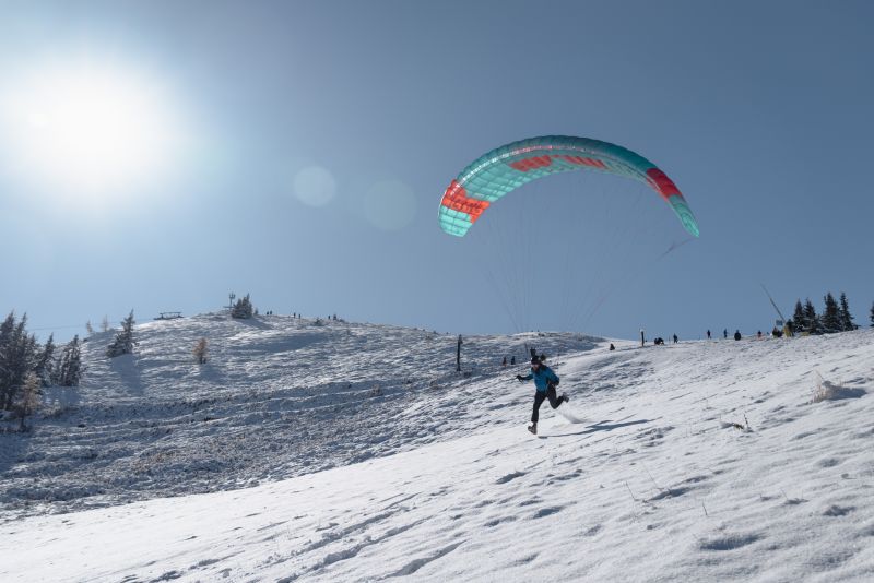 LINE | 13 | GFPLI11300